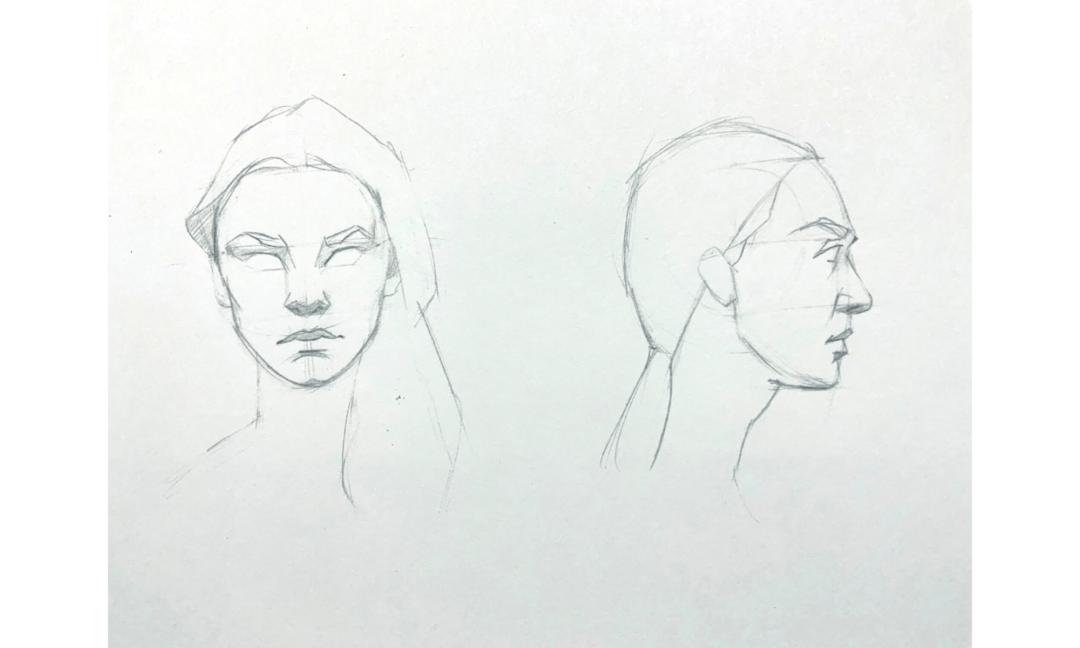 How to Draw Face Proportions Accurately (No Grid) – Binge Drawing