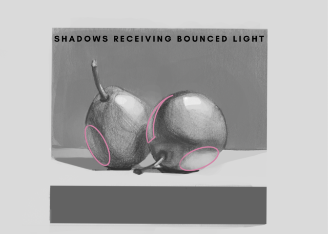 5 Types of Shadows in Art (With Examples) – Binge Drawing