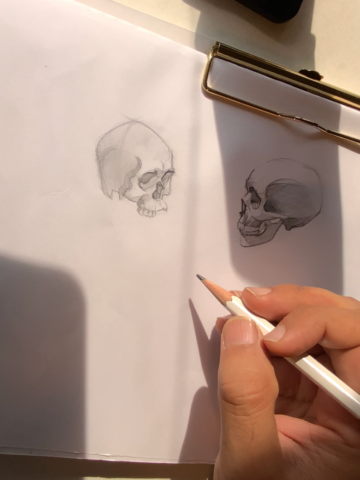 Basics – Binge Drawing