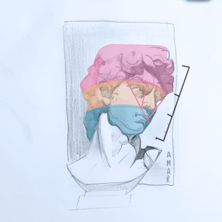 7 Face Proportions for Drawing Better Portraits – Binge Drawing