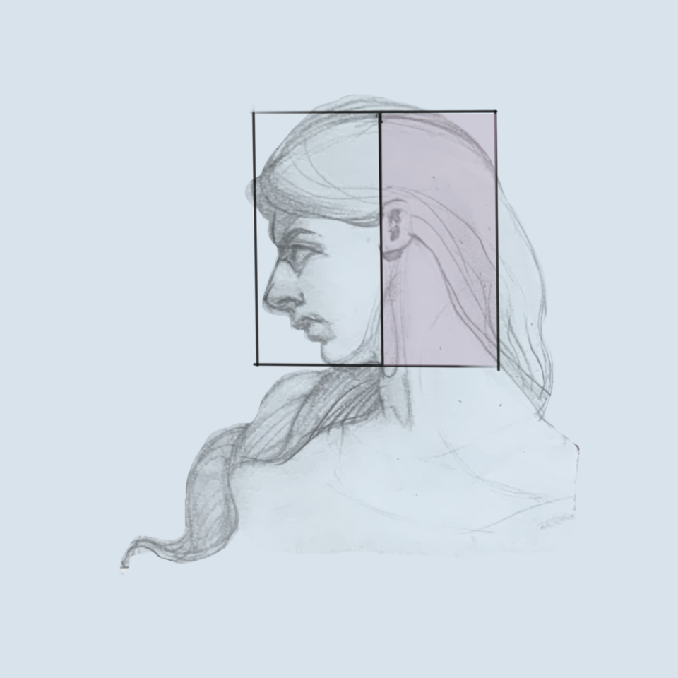 7 Face Proportions for Drawing Better Portraits – Binge Drawing
