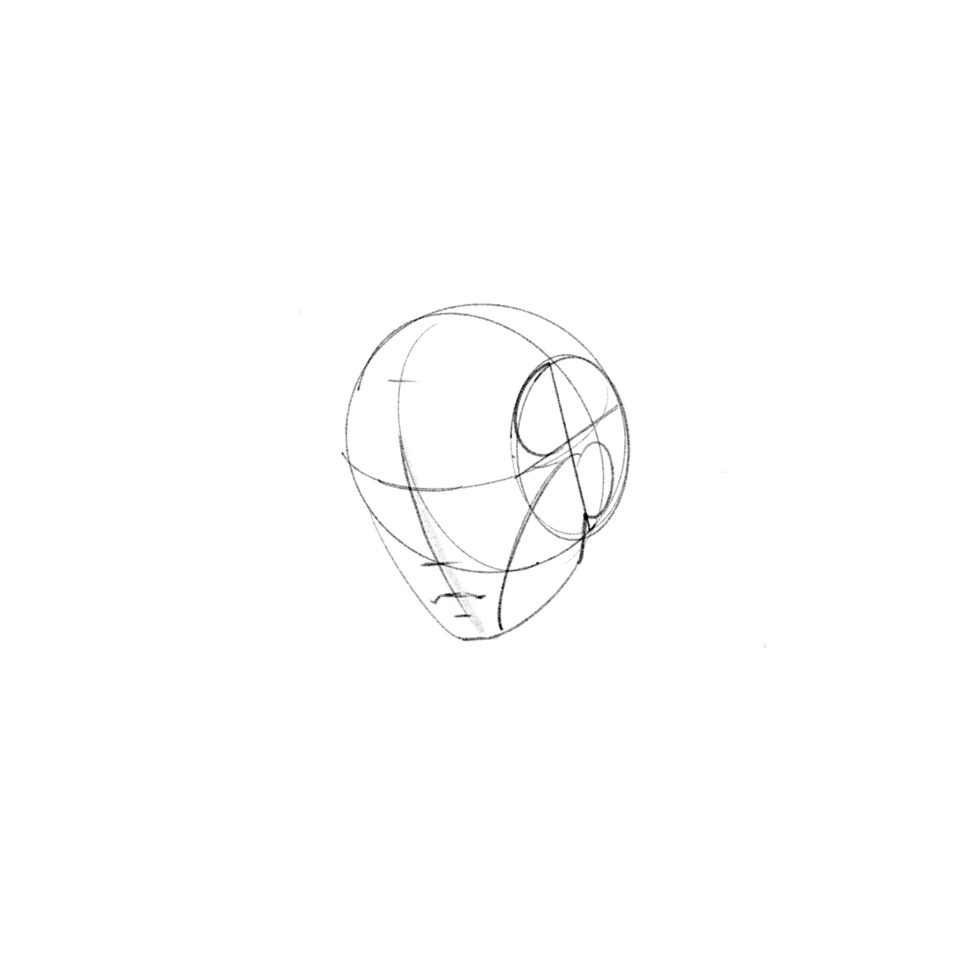 Loomis Method: 13 Steps for Drawing the Head – Binge Drawing