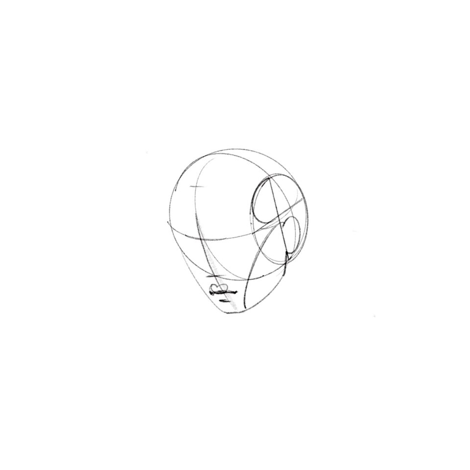 Loomis Method: 13 Steps for Drawing the Head – Binge Drawing