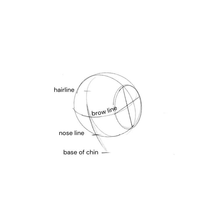 Loomis Method: 13 Steps for Drawing the Head – Binge Drawing